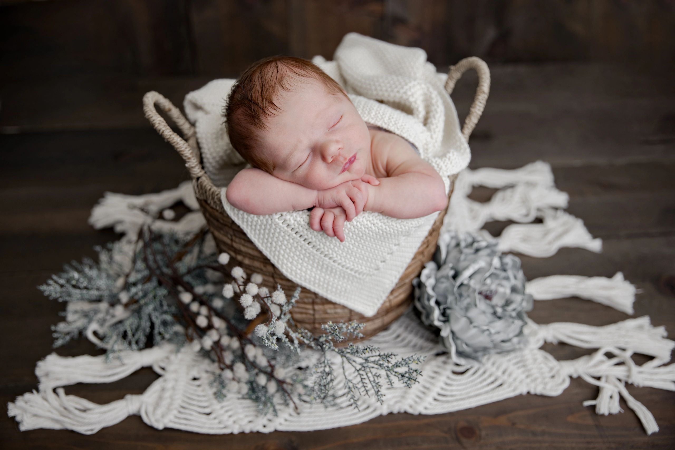 Newborn Sessions