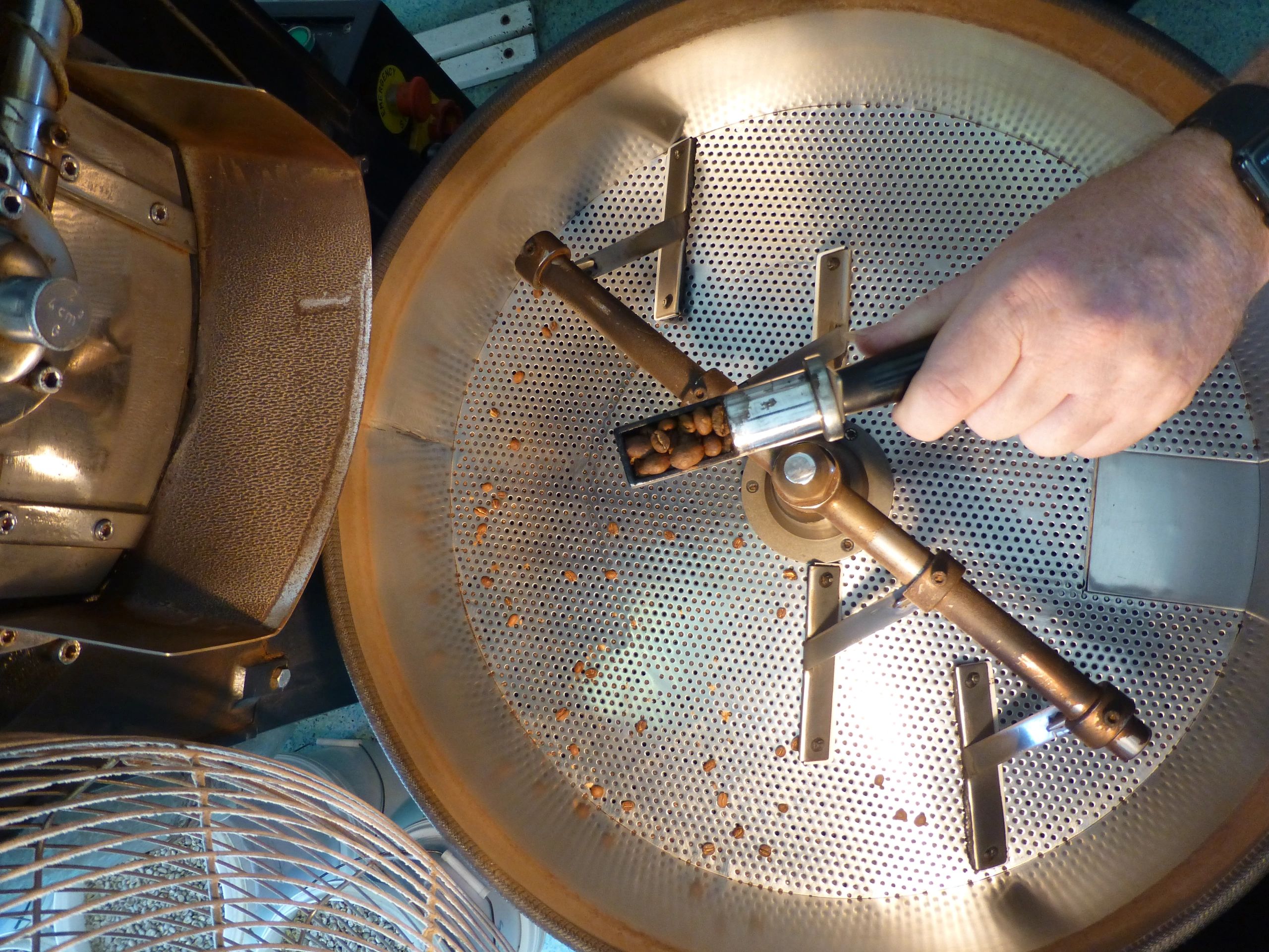 Wholesale Coffee - River Roast