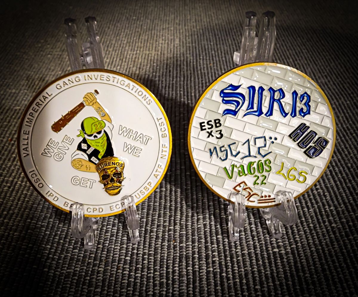 Gang Investigations Coin