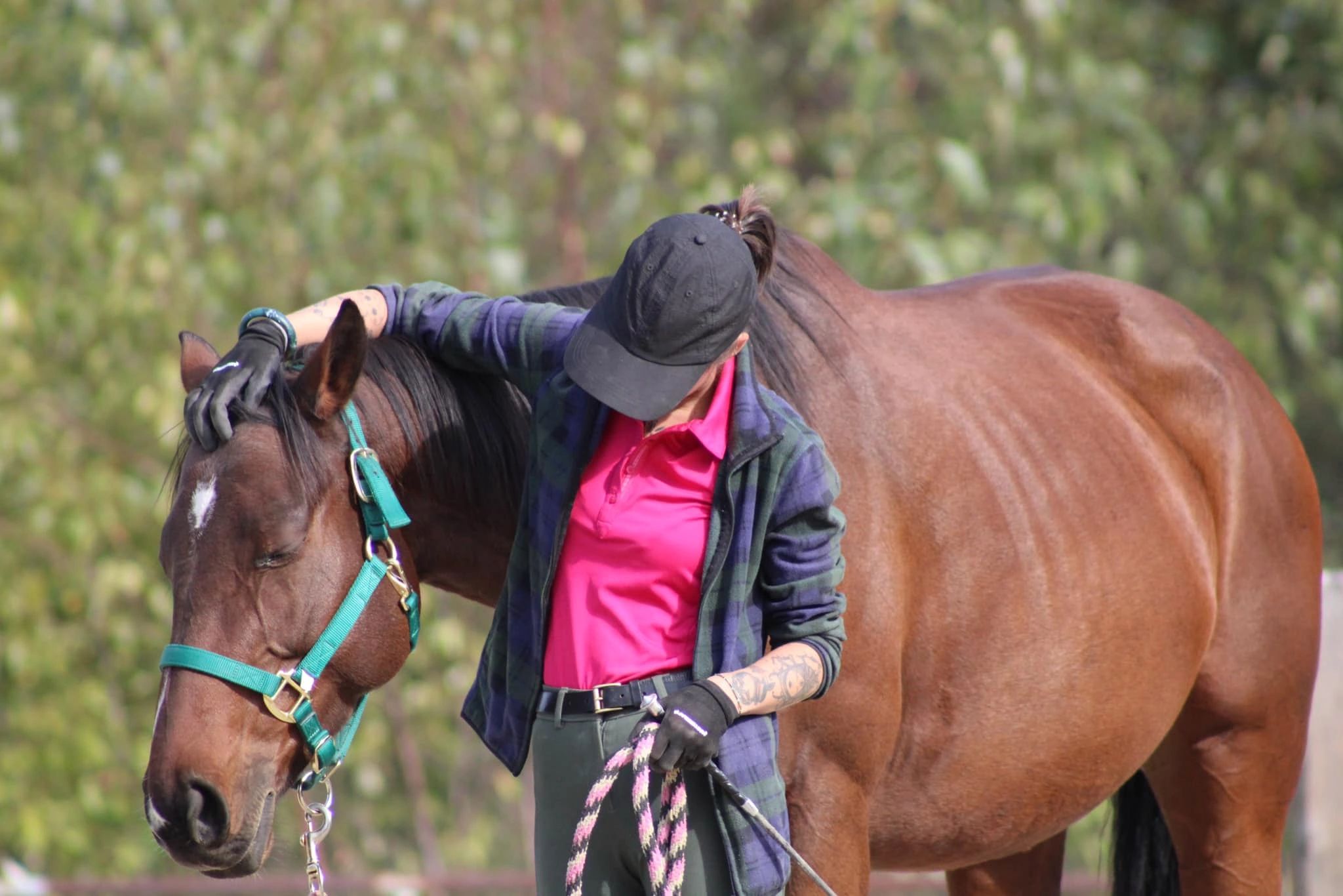Mountain Trail Course | Trail Horseman's Society