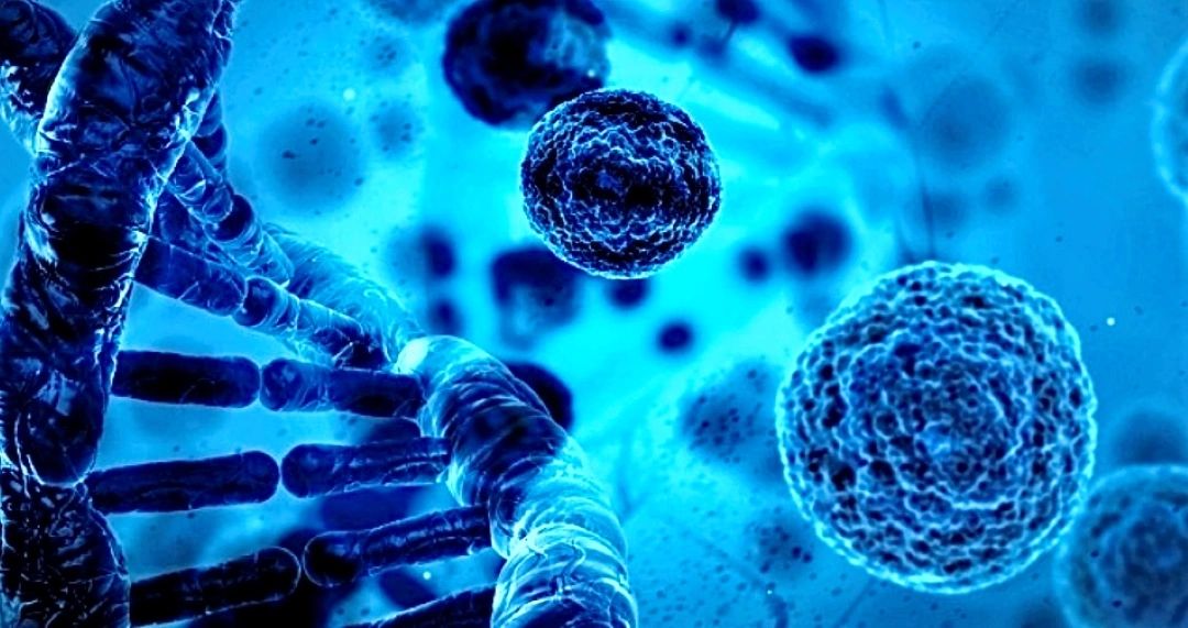 BASEnet Solutions - Home