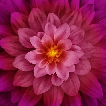 Shop Dream Big Panels