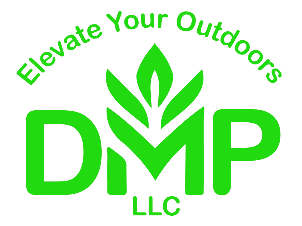 Online payment @ DMP LLC