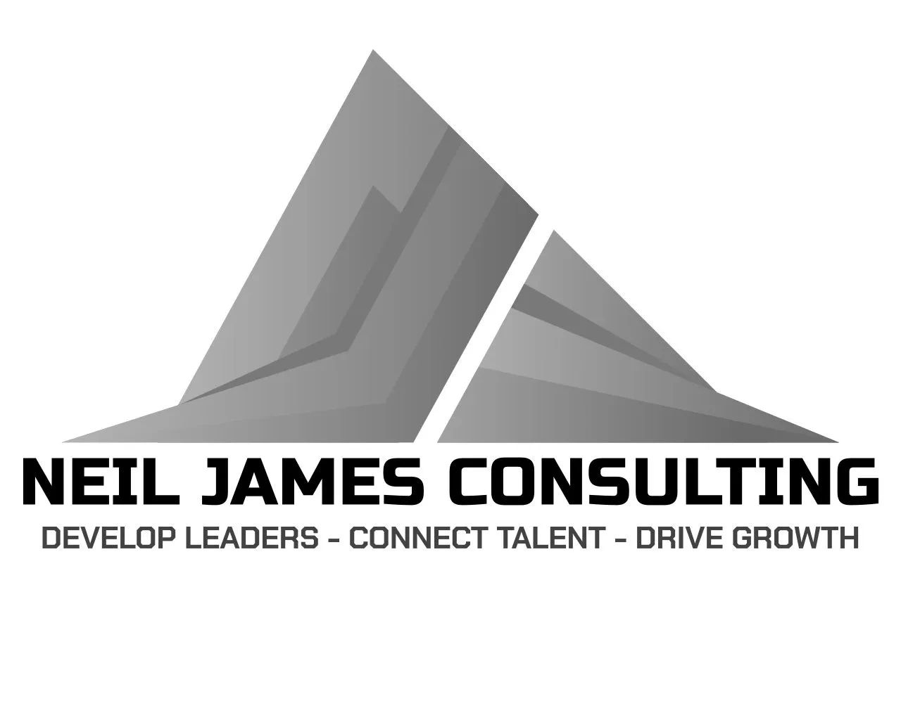Neil James Consulting Ltd