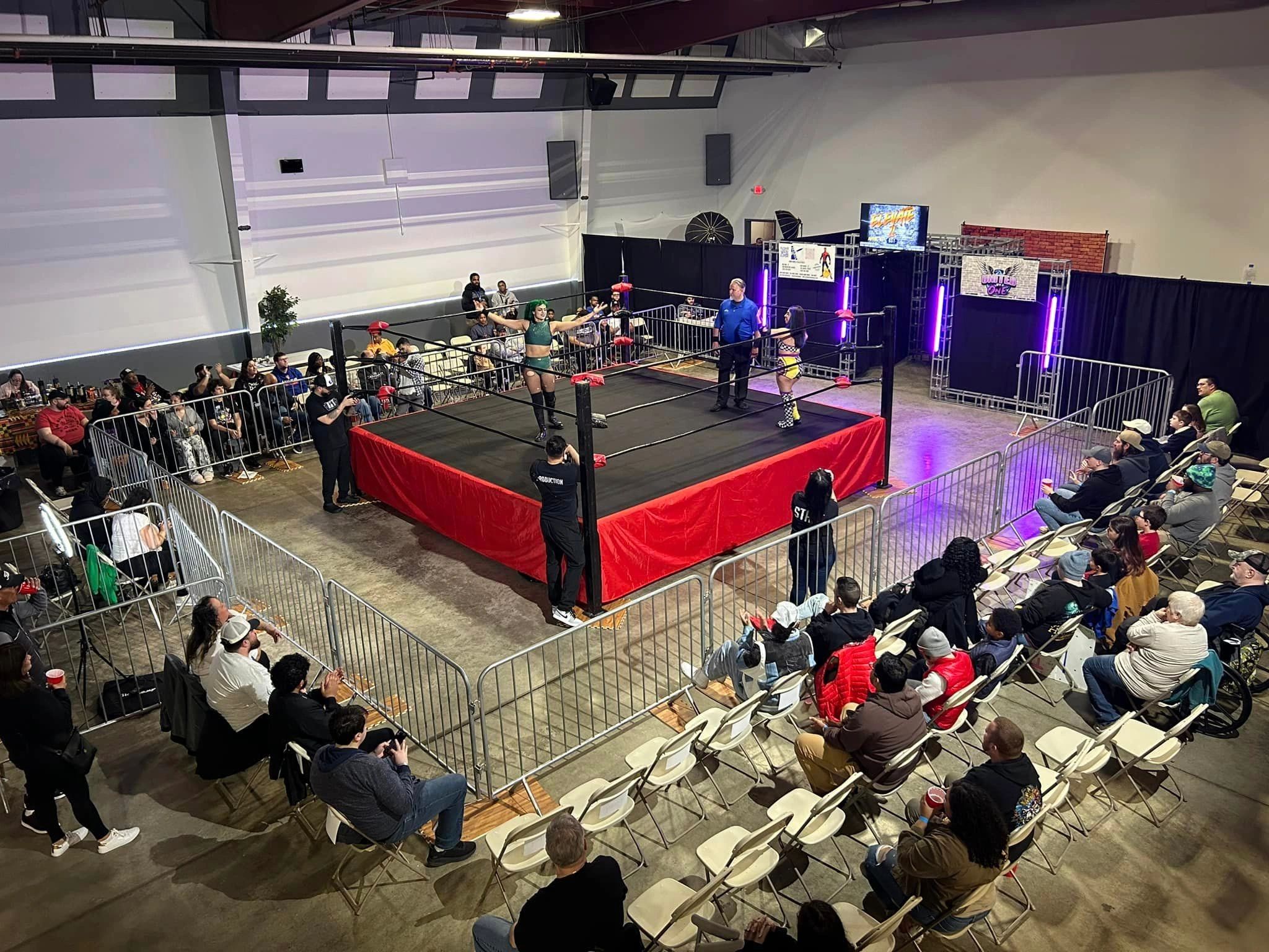 Renegade Ring Rentals - Home