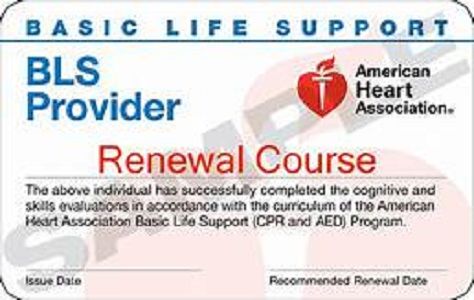 BLS Renewal Class for Healthcare Providers