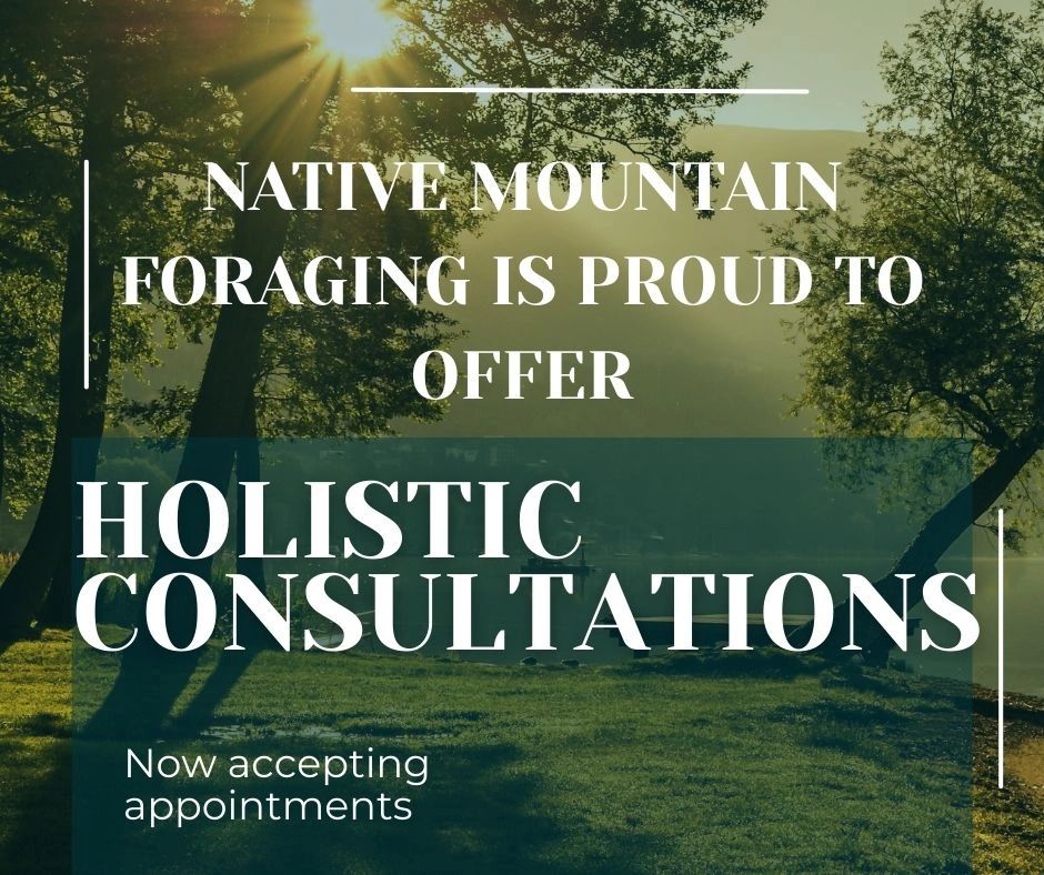 Holistic Consultation