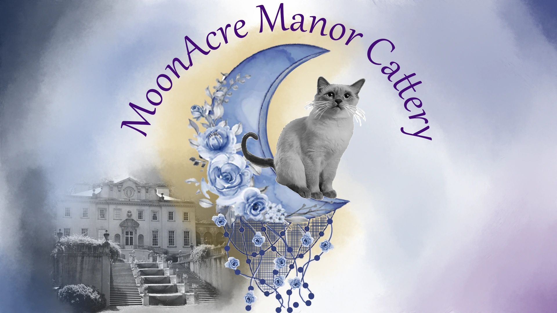 Balinease Cats & Kittens. - MoonAcre Manor Cattery