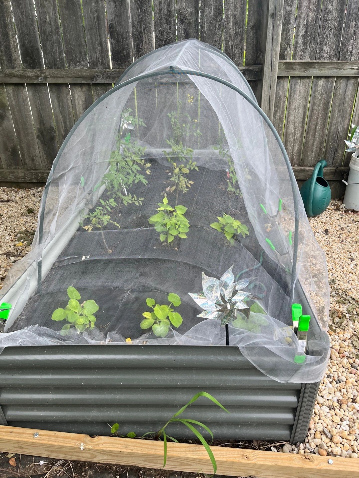 Floating Row Covers