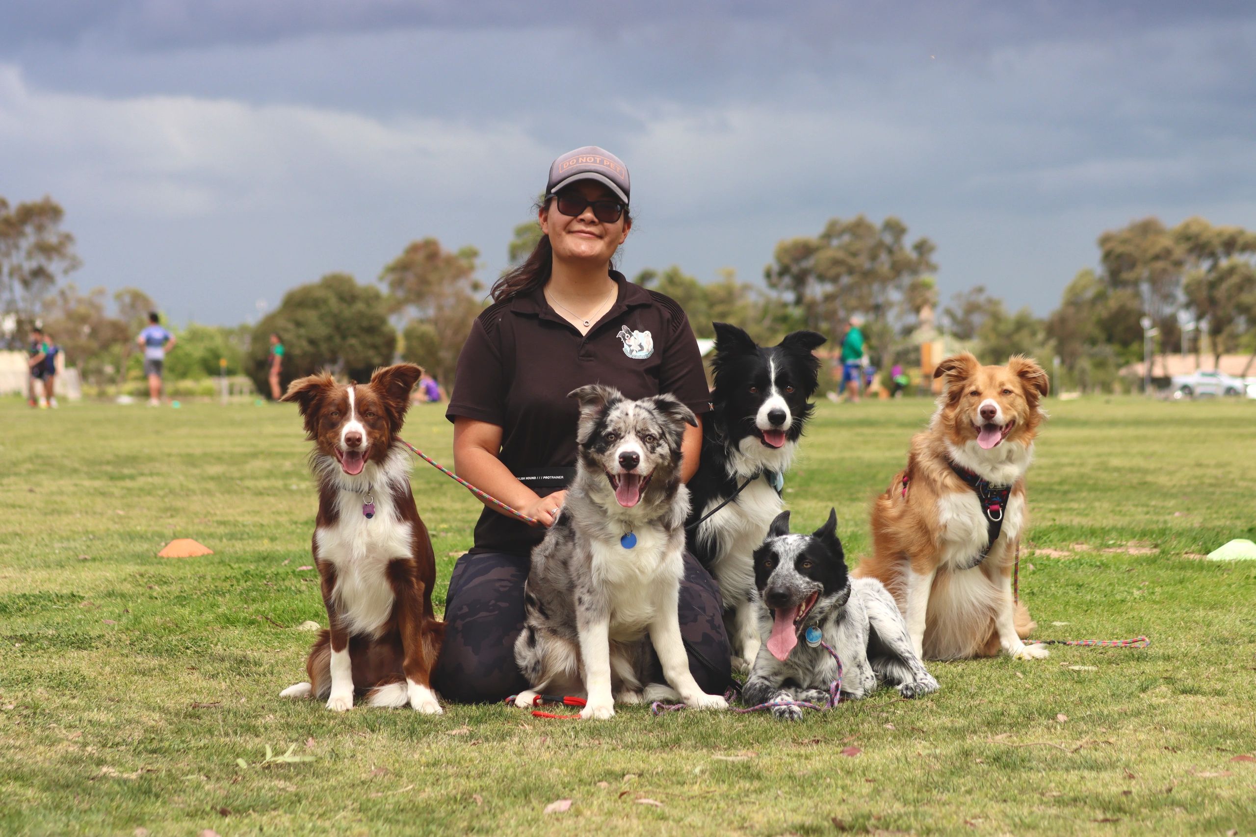 Divine Canine Tv Show 60 Photos - Moonagedaydream.film