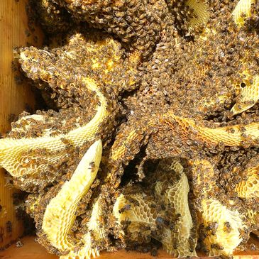 Why It's Time to Switch to Natural Deodorant