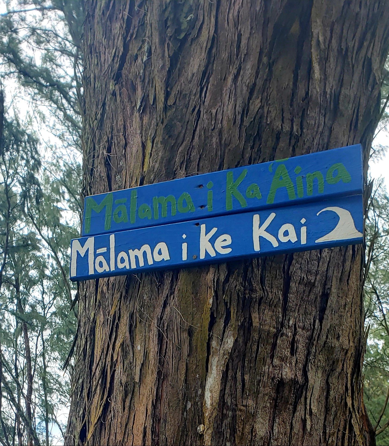 Happy Malama Aina Day