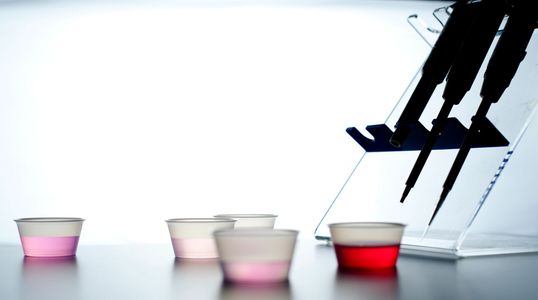 Fluorescent Dye Tracing - Crawford Hydrology Lab