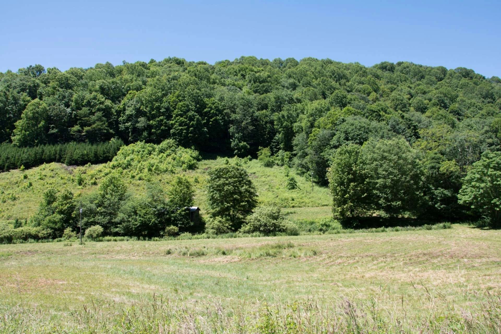 Infinite Land Partners