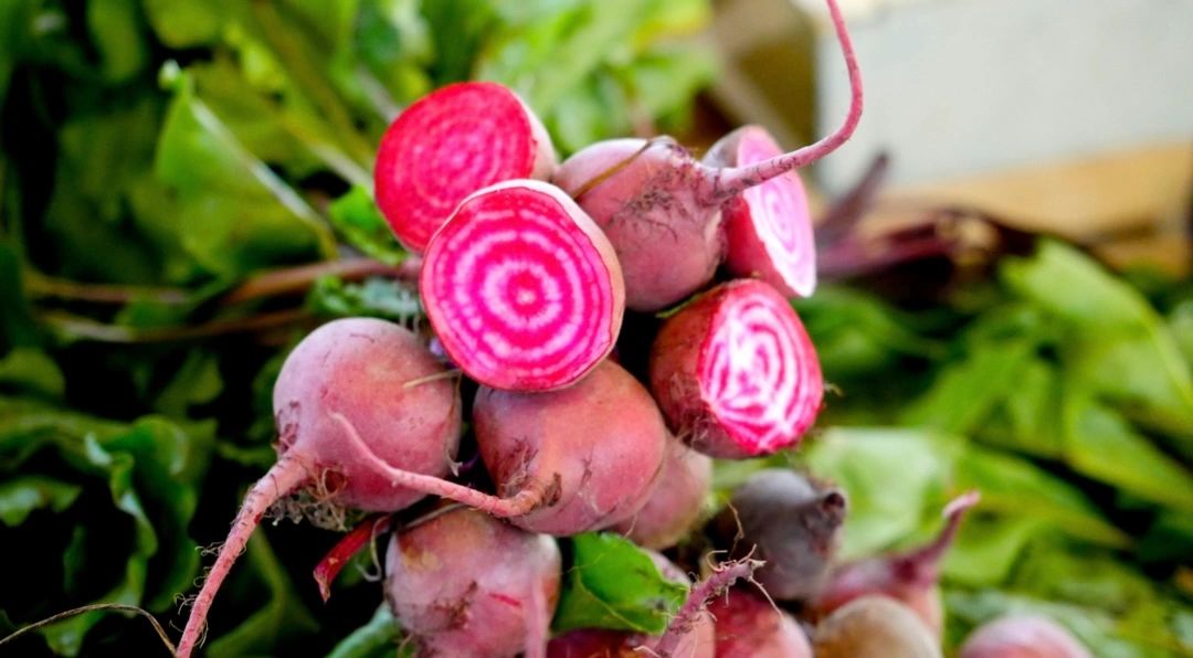 Chioggia/ Candy Cane Beet