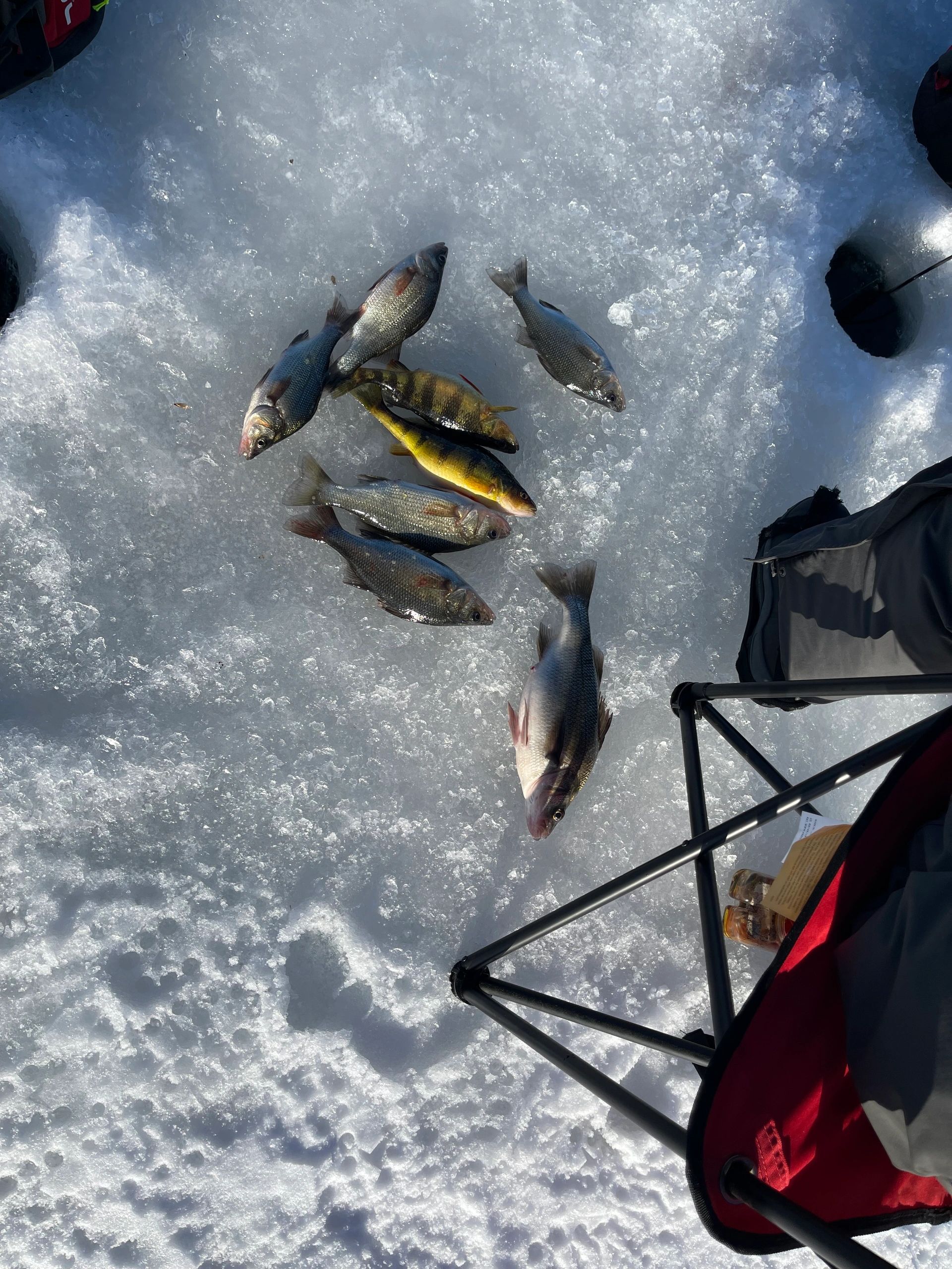 Second Ice trip 2024