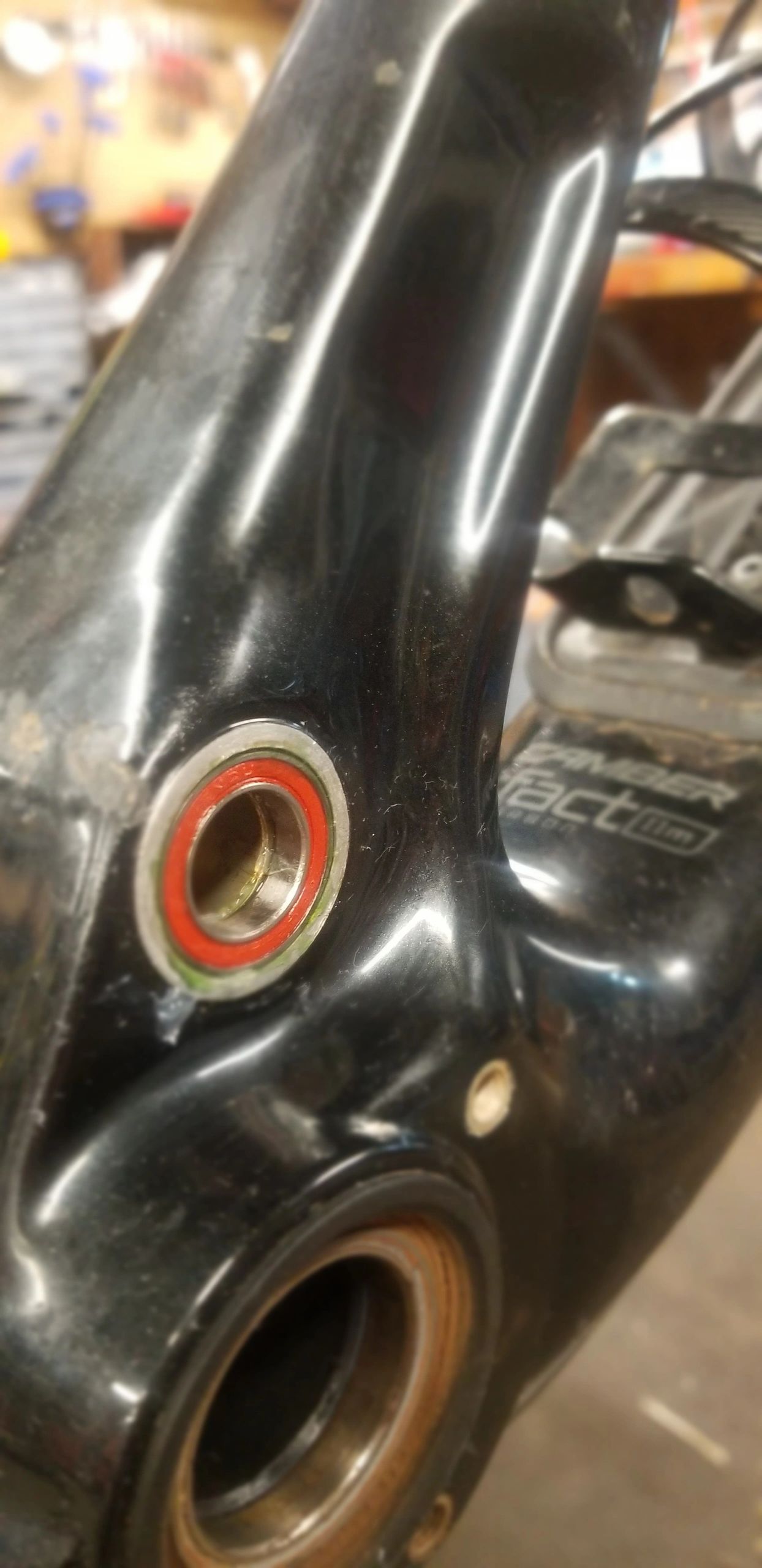 Shock Efficiency and Effectiveness with Rear Pivot Bearings