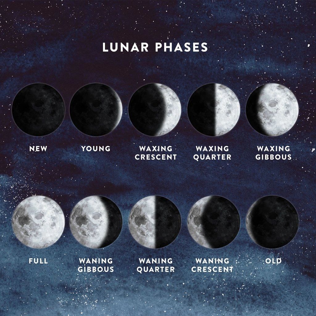 Moon Cycles: The Moon & its influence..
