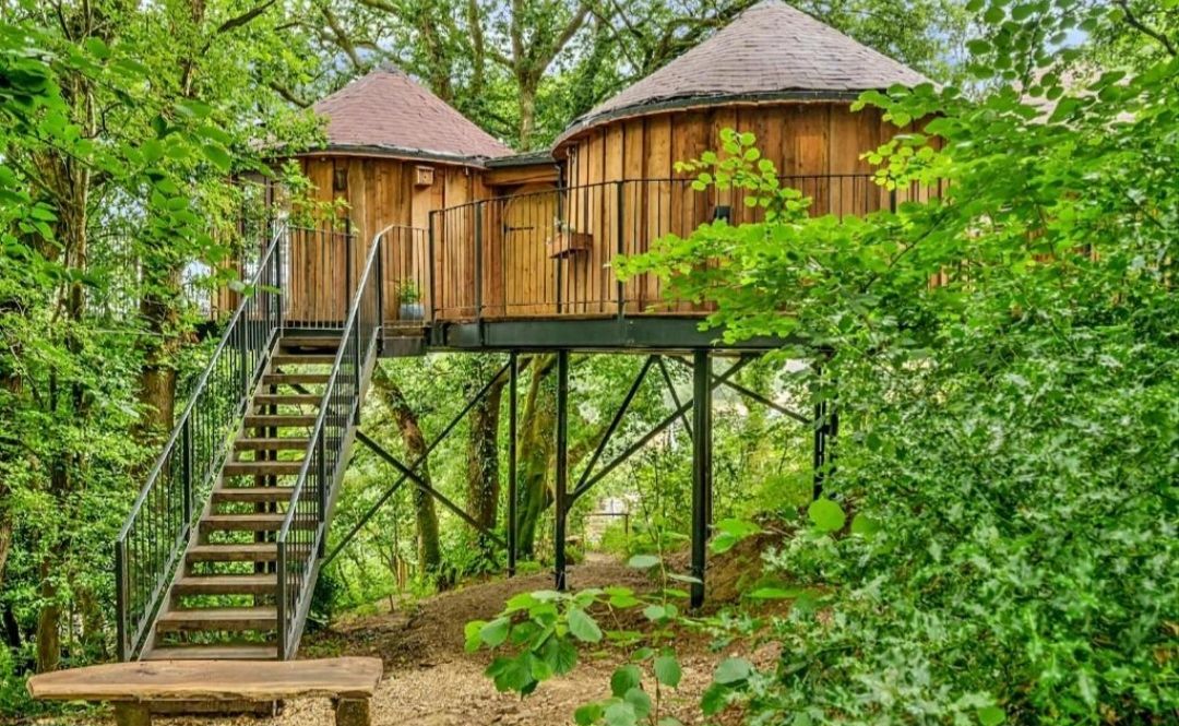 Treehouse In Devon