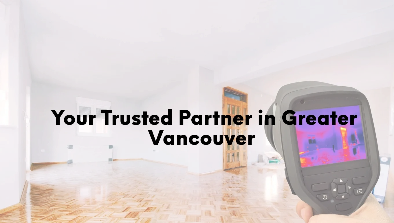 PROCHECK HOME INSPECTIONS