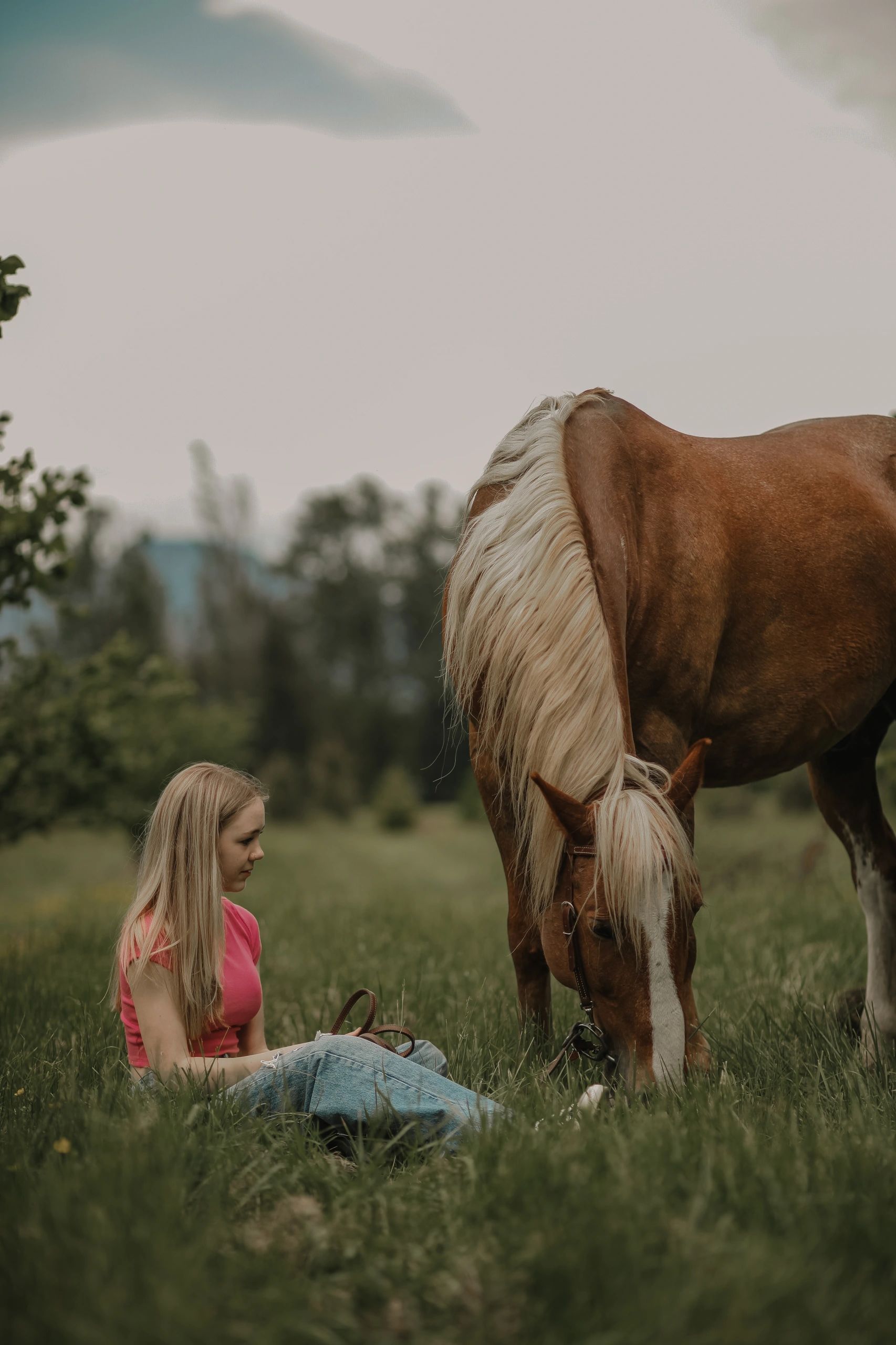 Programs | Discovery Equine
