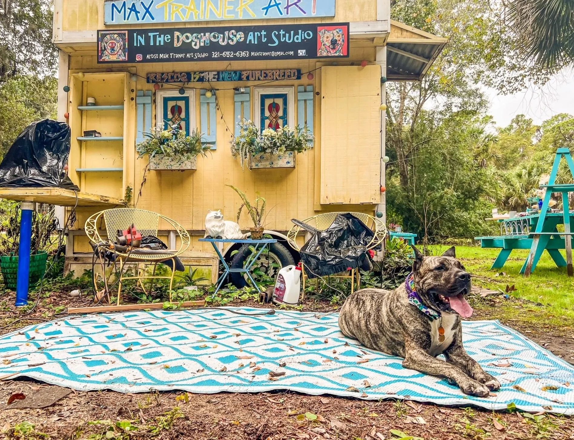 EthanAlmighty - Ethanalmighty, Ethan the Dog, Dog