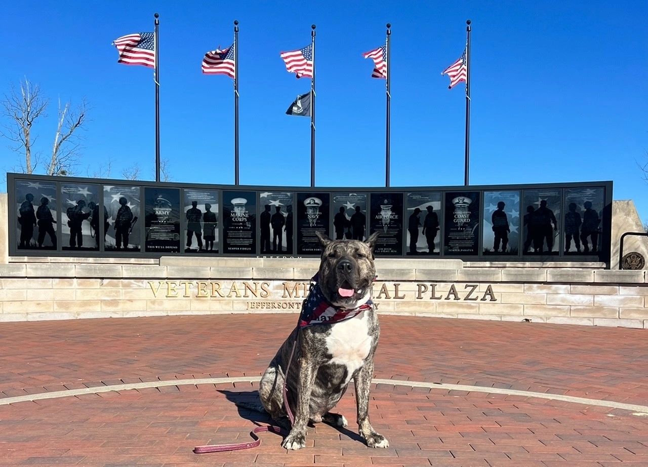 EthanAlmighty - Ethanalmighty, Ethan the Dog, Dog