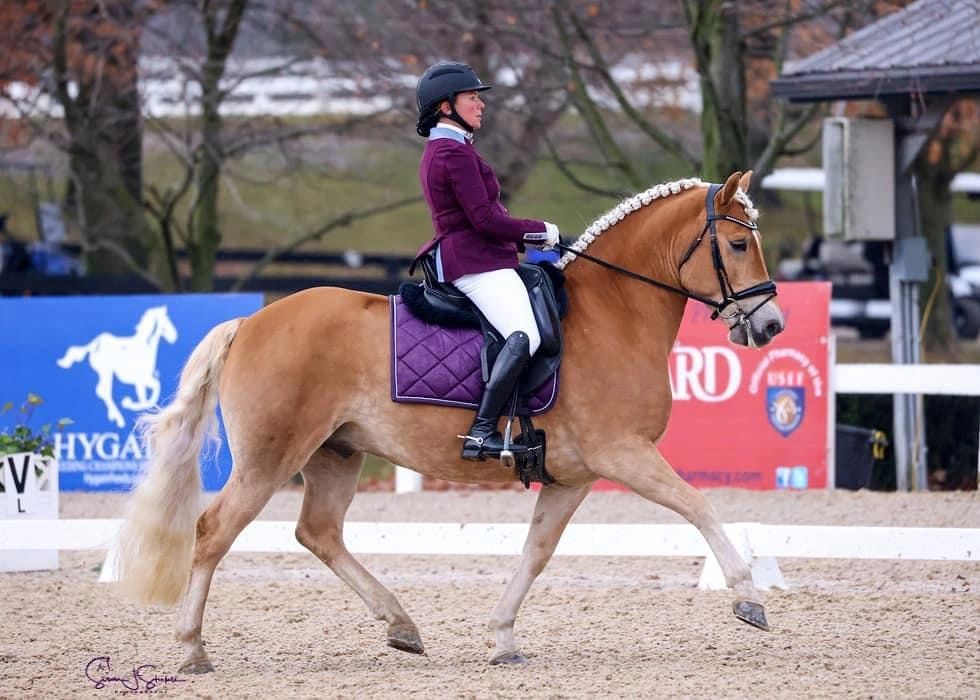 Chelsea Nau Performance Horses