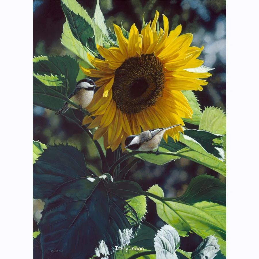 Sunbathers by Terry Issac