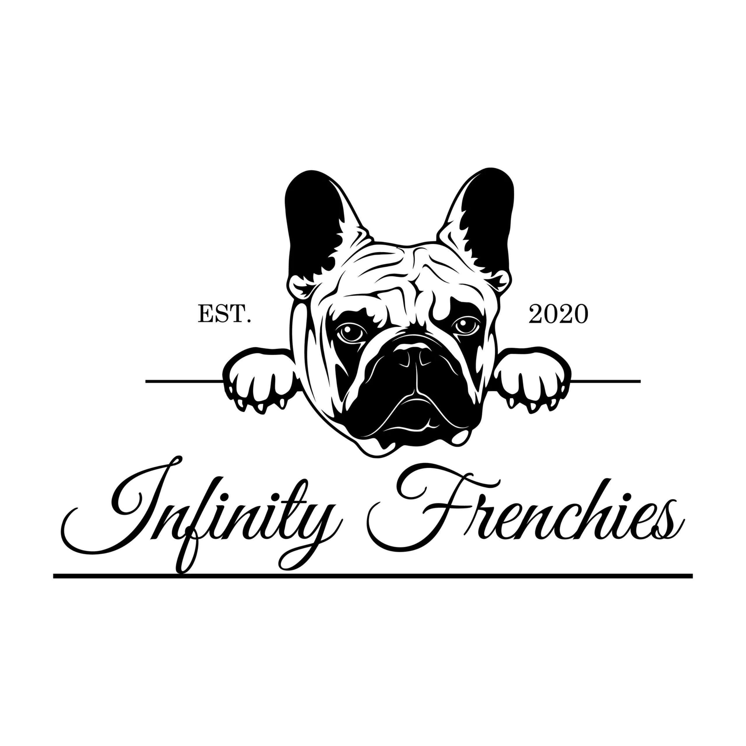 Home | Infinity Frenchies - Adorable French Bulldog Puppies
