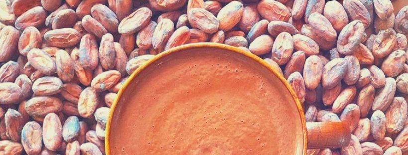 What is Cacao?