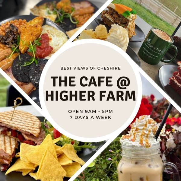The Cafe | Higher Farm Equine Ltd