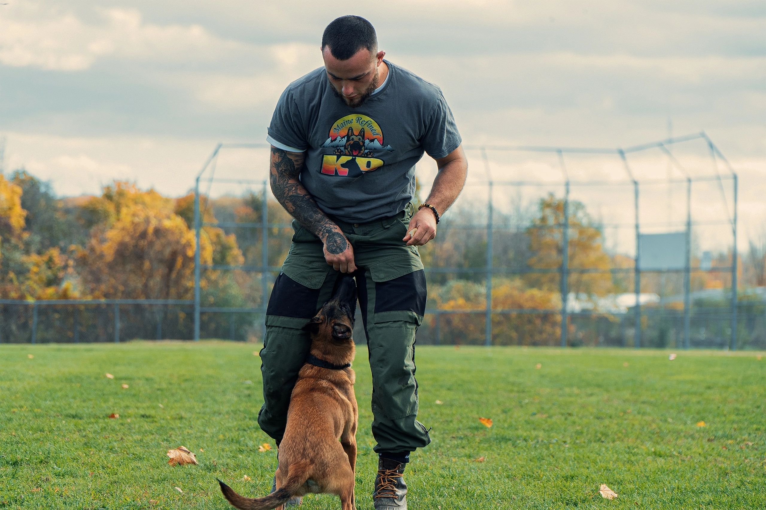 Professional Dog Trainer for Obedience Training