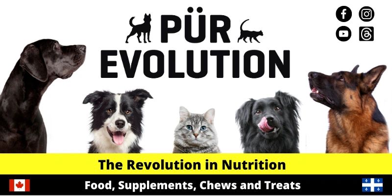 PÜR EVOLUTION - Raw Dog Food, Seal Oil Omega 3
