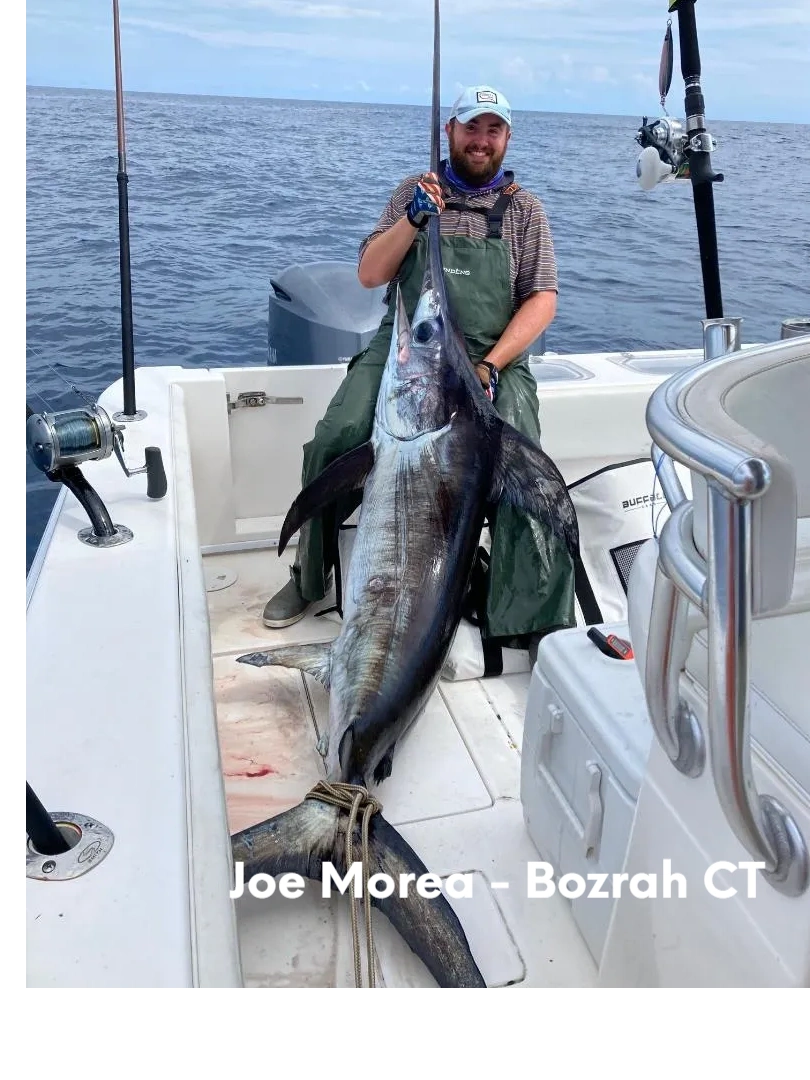 TROLLING BARS- SS CABLE