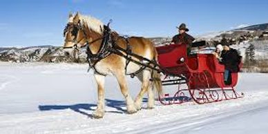 French Ridge Condominiums - Home