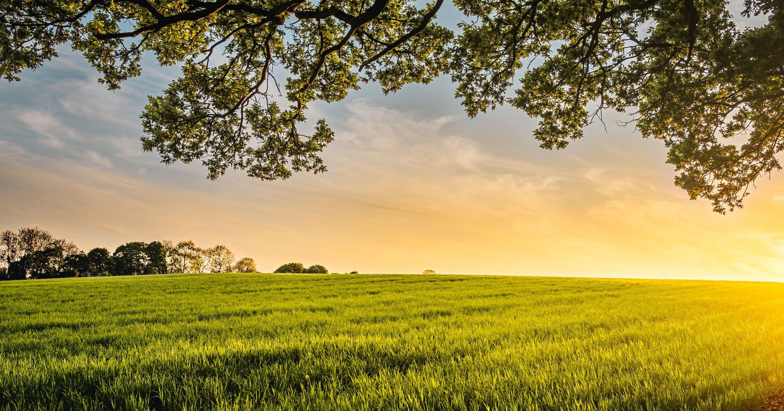 Union County Democratic Party in Monroe, North Carolina