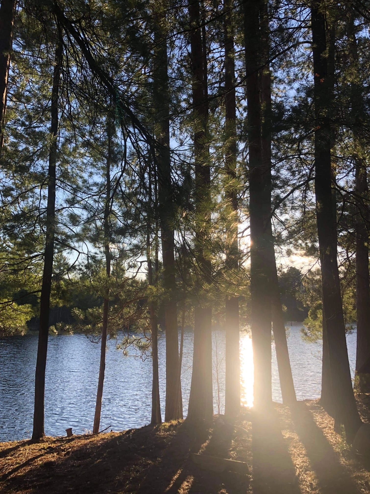 Lazy Days Cottages - Vacation Rental Property, Accomodations