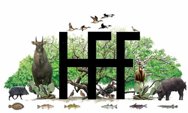 Horn Fin Feather - Nilgai Hunting, Package Hunts