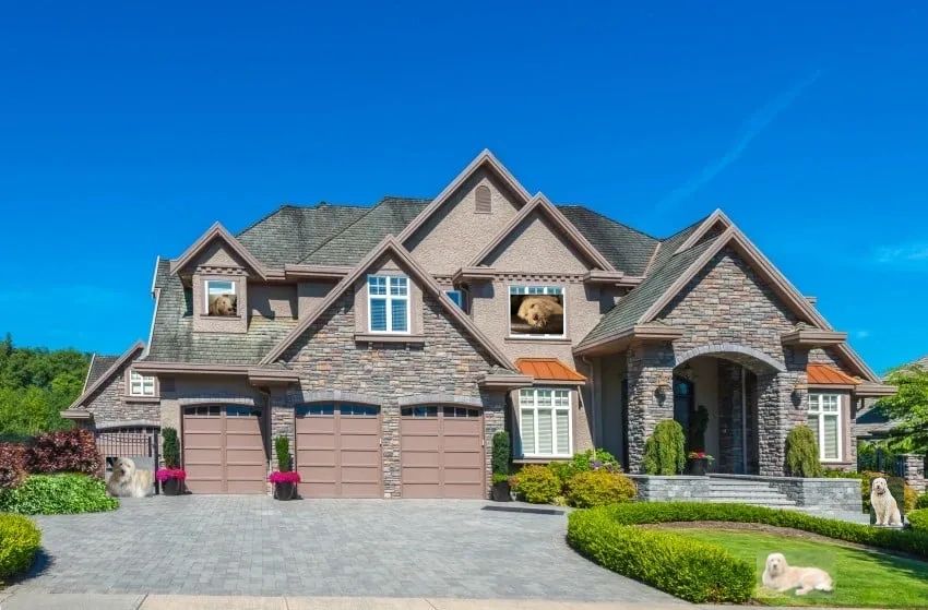 Real Estate Agent - Jester Realty