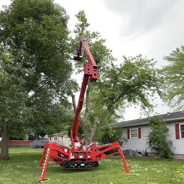 Fischer Tree Service - Tree Work, Stump Removal, Tree Removal