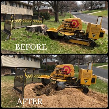 Fischer Tree Service - Tree Work, Stump Removal, Tree Removal
