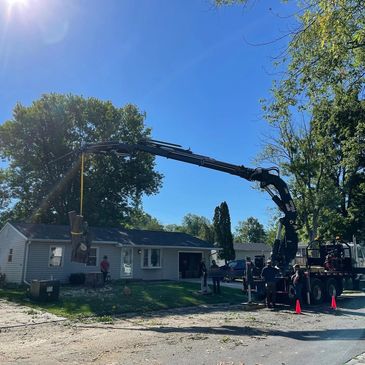 Fischer Tree: Tree & Storm Work