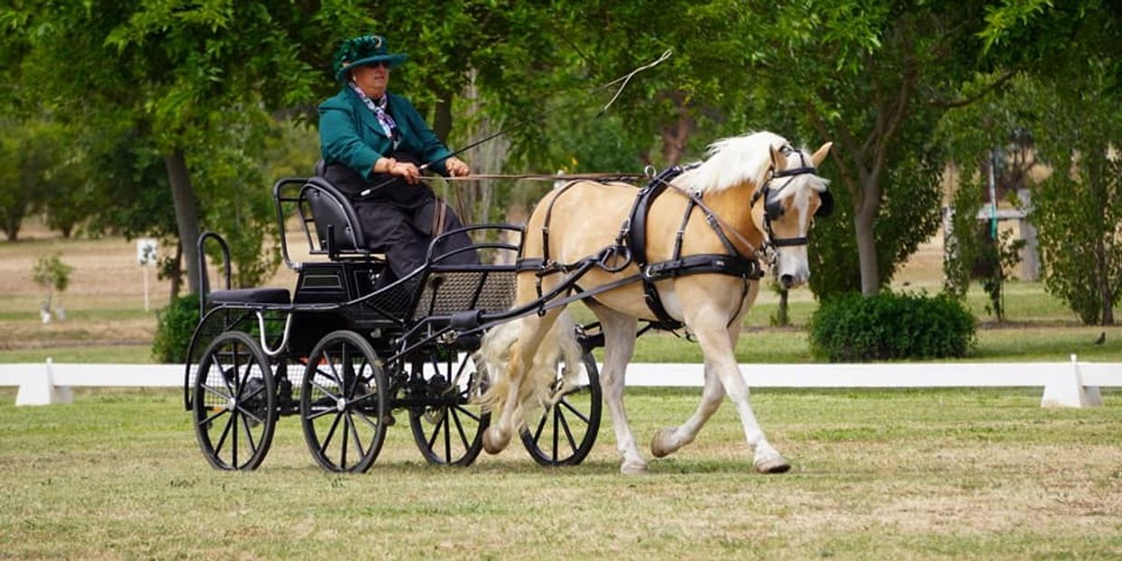 Dressage In The Park