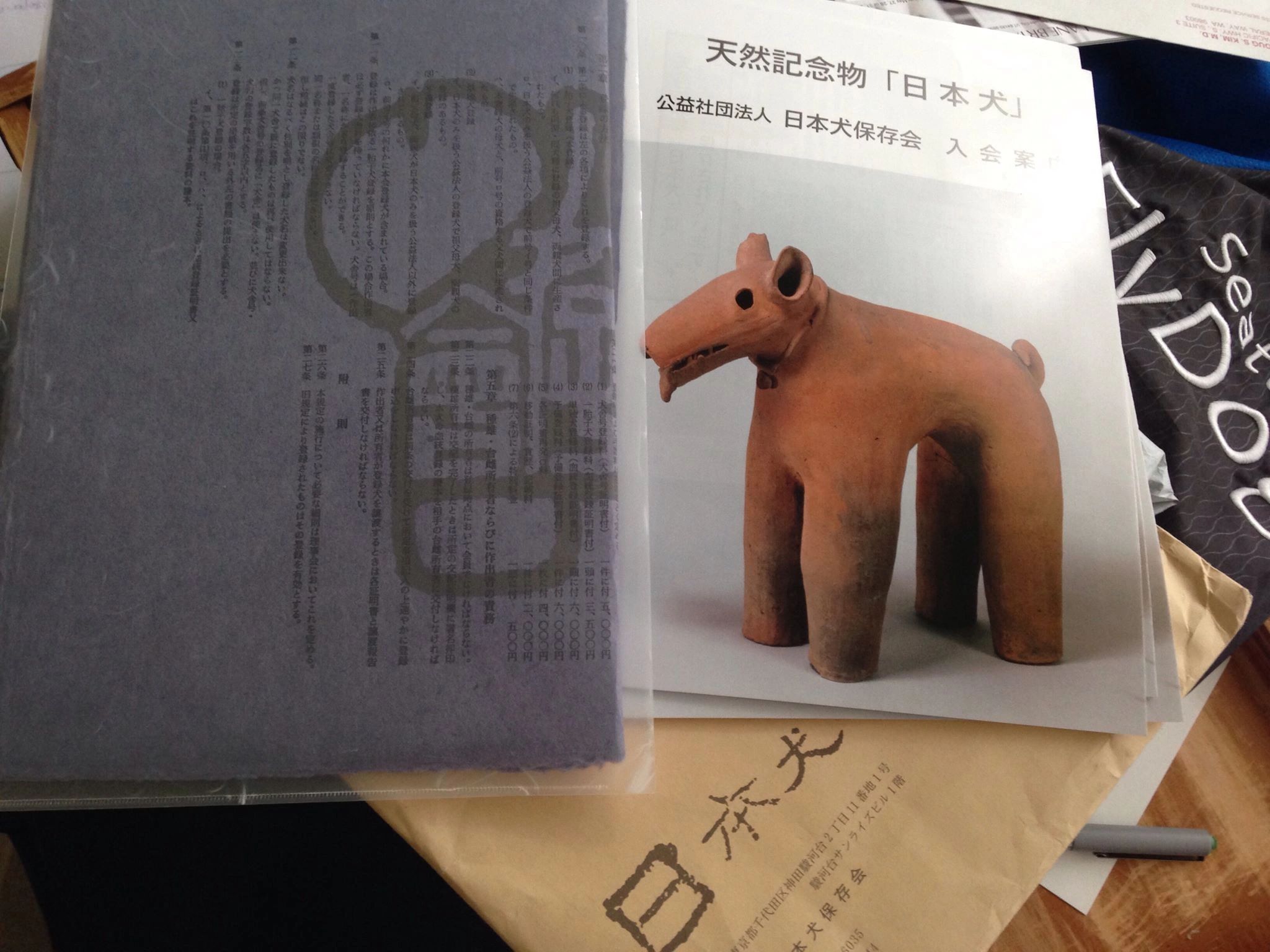 Evergreen Shiba Inu Club