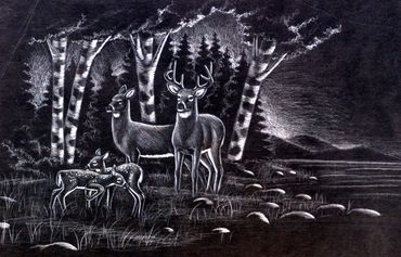 Wildlife | DC Etchings Inc.