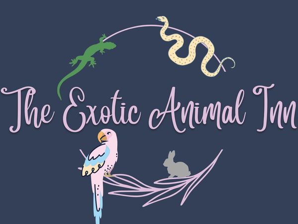 Luxurious Exotic Pet Boarding Facility