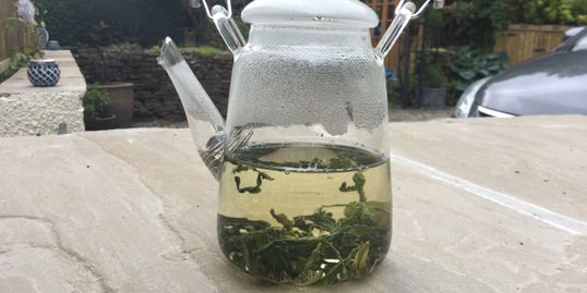 The Tiny Tea Factory