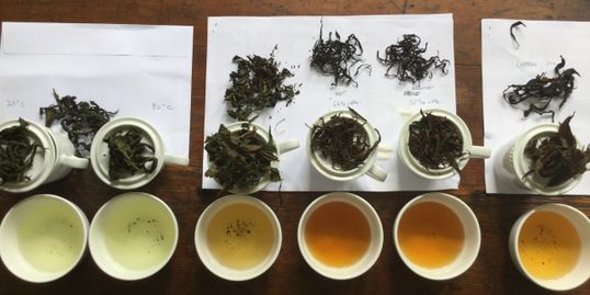 The Tiny Tea Factory