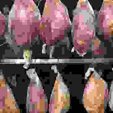 Wall Meat Processing - Meat Processing, Butcher, Meat Market